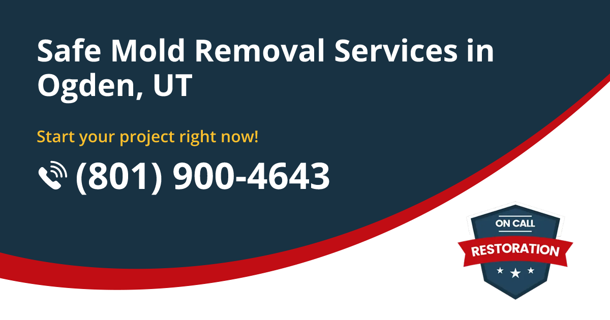 Mold Removal in Ogden, UT | On Call Restoration Ogden